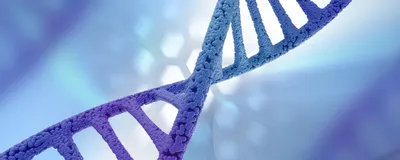 Finding DNA Tags in AAV Stacks | The Scientist