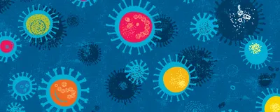 Delivering Prime Editors With Virus-like Particles | The Scientist