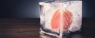 How Cold Affects the Brain | The Scientist