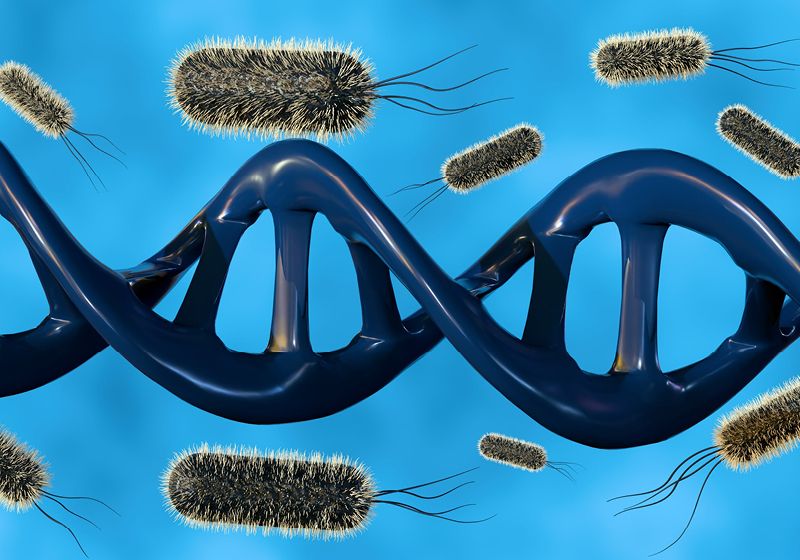 Resolving Large DNA Fragments with Ease | The Scientist
