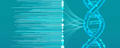 Maximizing Biomarker Discovery with the Six-Base Genome | The Scientist