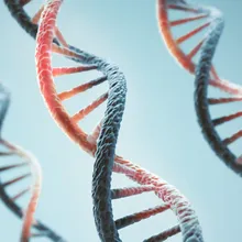 Imprintome | The Scientist