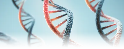 Genetic Imprints in the Brain | The Scientist