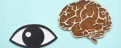 Keeping an Eye on Brain Immunity | The Scientist