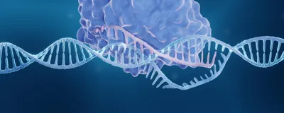 Prime Time Precision with CRISPR Technologies | The Scientist