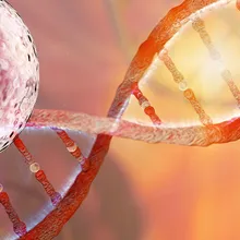 Gene Expression | The Scientist