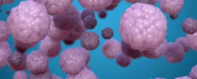 Developing Homogenous 3D Neural Cultures for High Throughput Screening ...