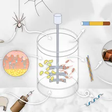 Synthetic Biology | The Scientist