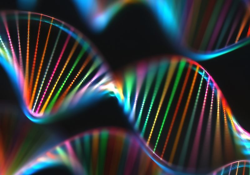 Back to the Basics to Break Boundaries | The Scientist
