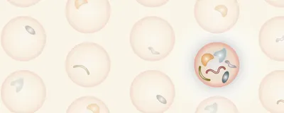 Building Cells from the Bottom Up | The Scientist