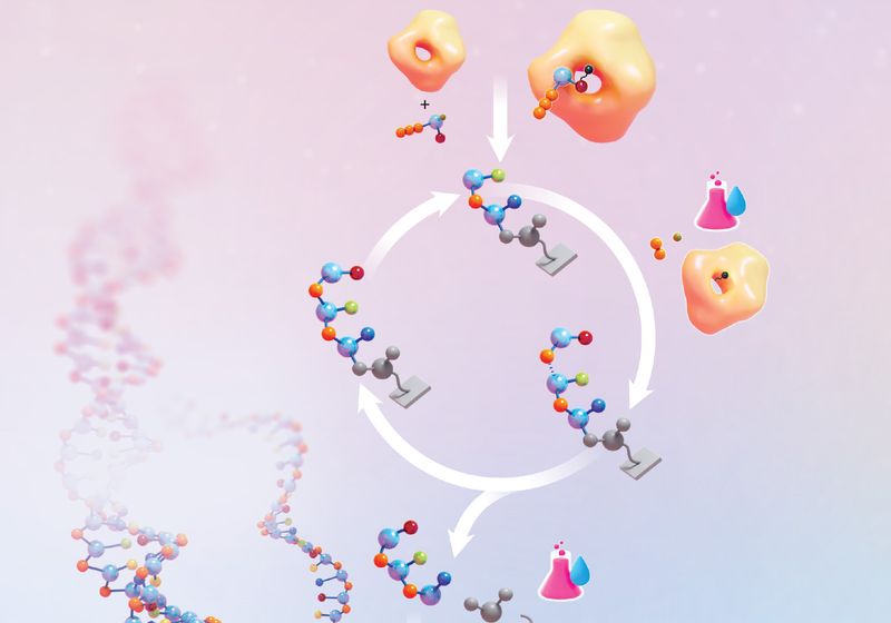 Infographic: Chemical Versus Enzymatic DNA Synthesis | The Scientist