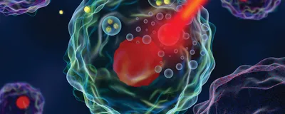 How Flow Cytometry Revolutionized Cell Biology Research | The Scientist