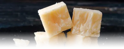 How Microbes Craft Cheese Flavors | The Scientist