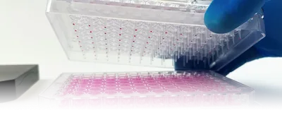 Demystifying Cell Culture Through Oxygen Analysis | The Scientist