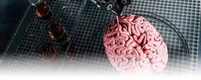Crafting Mindscapes of the Brain | The Scientist