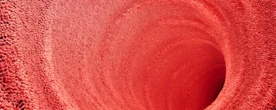 Modeling the Intestines with Mini Guts | The Scientist