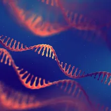 Infographic | The Scientist