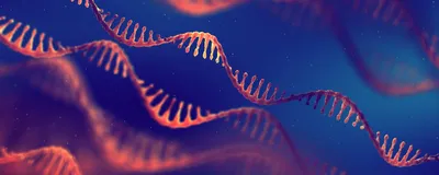 Capturing Relevant Reads in Gene Expression Studies | The Scientist