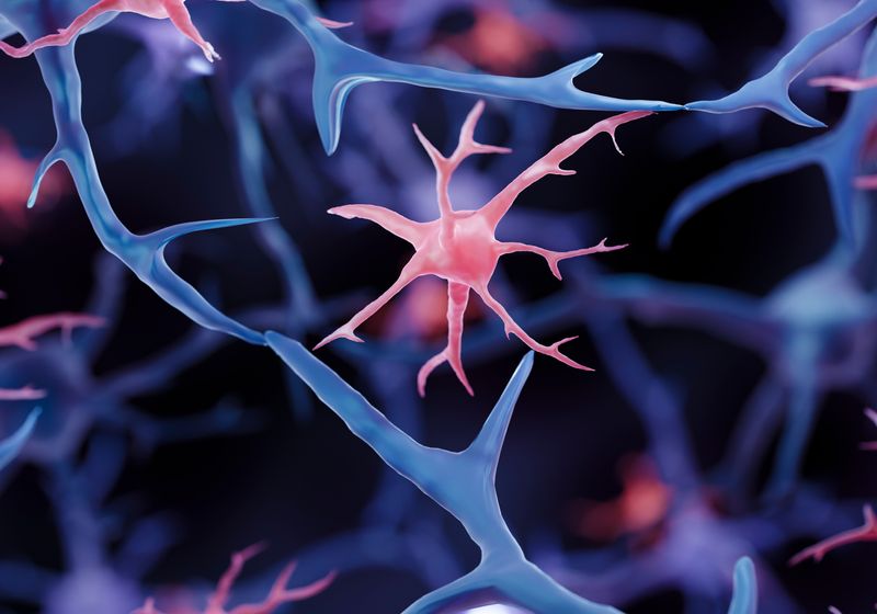 CRISPR-Ready Cells for Target Discovery | The Scientist