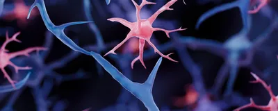 CRISPR-Ready Cells for Target Discovery | The Scientist