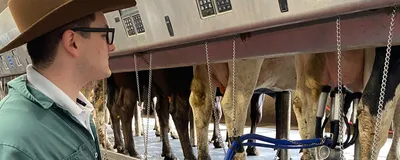 Moo-ve Aside Mice: Exploring Cow Models in Research | The Scientist