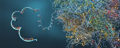 A Twisted Secret that Extends mRNA Longevity in Cells | The Scientist