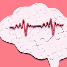 Hippocampus | The Scientist