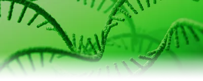 Improving RNA Sequencing with FFPE Samples | The Scientist