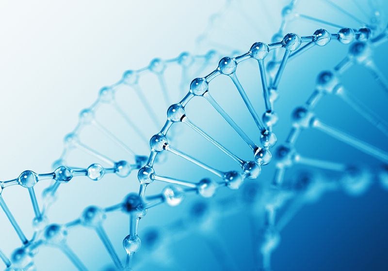 Digital PCR Applications | The Scientist