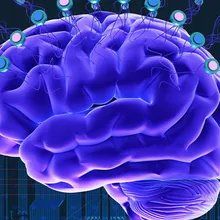 Single-cell Analysis | The Scientist