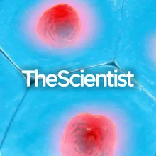 Spatial Biology | The Scientist