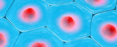 Exploring the Tumor Microenvironment with Spatial Biology | The Scientist