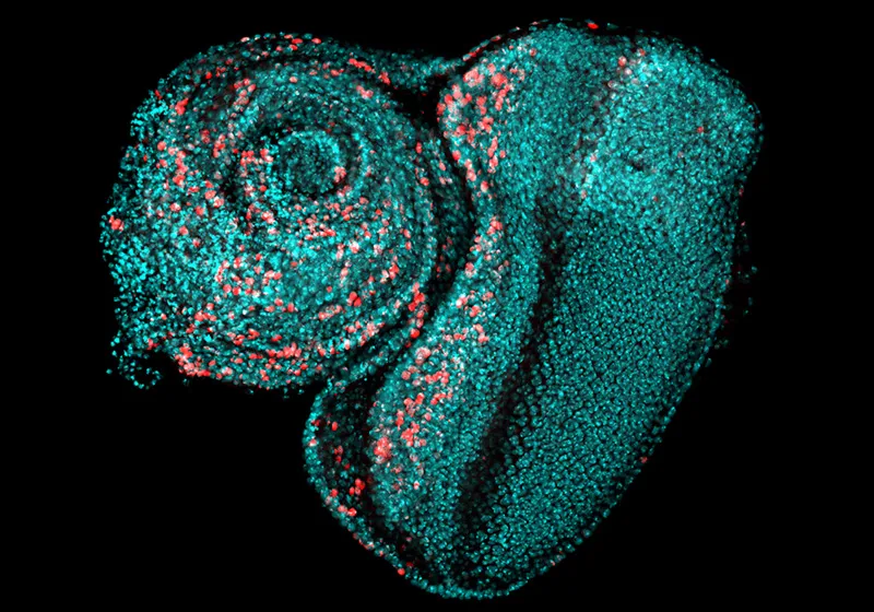 Epigenetics And Its Future Gtgtgt Science And Technology Epigenetic