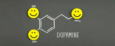 Debunking the Dopamine Detox Trend | The Scientist