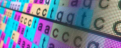 Expanding the Genetic Alphabet | The Scientist