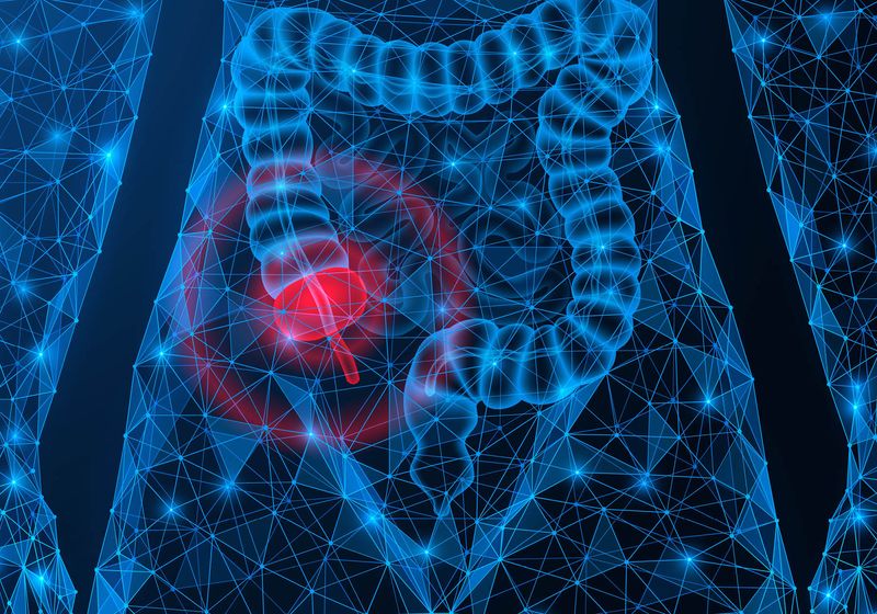 What Does the Appendix Do? | TS Digest | The Scientist