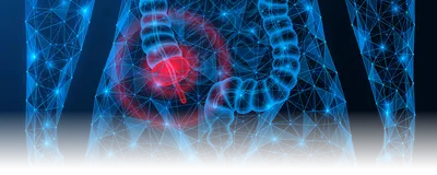 What Does the Appendix Do? | The Scientist