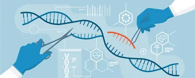 Optimizing Gene Editing Experimental Design | The Scientist