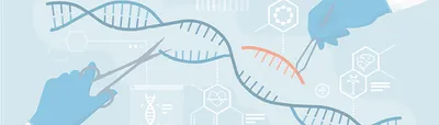 Optimizing Gene Editing Experimental Design | The Scientist