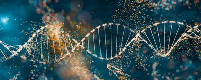 A Prime-Editing Based Approach Records Cellular Genetic History | The ...