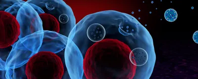 Extracellular Vesicles Go with the Flow | The Scientist
