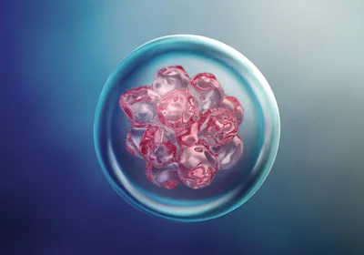 An Ode to Stem Cells | The Scientist