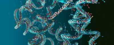 Protein Changes in the Brain Could Explain How Neurodevelopment Goes ...