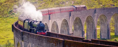 Cellular Trains Make a Quick Getaway | The Scientist