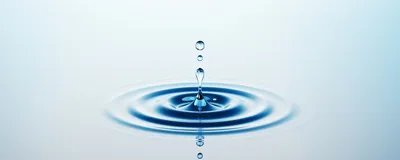 The Importance of Water Purity when Studying Endocrine Disruptors | The ...