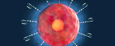 Upgrading Cell Therapies for Cancer Treatment | The Scientist