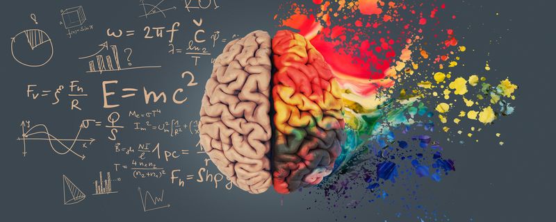 How Visual Cues Can Help Tell the Story | The Scientist