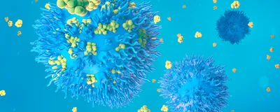 Innate Immune Cells Develop Memory with a T Cell Marker | The Scientist