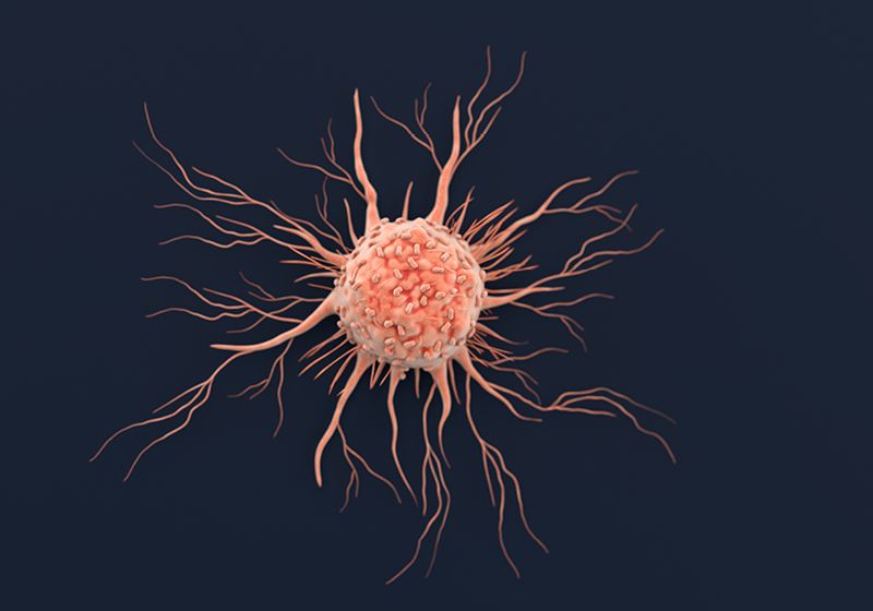 Cancer Cells Hijack the Neuron-Glia Connection for Brain Metastasis ...