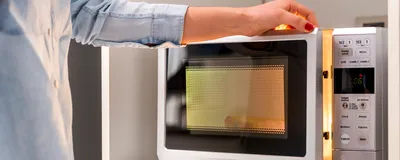Bacteria Brave Heat to Thrive in Microwaves | The Scientist